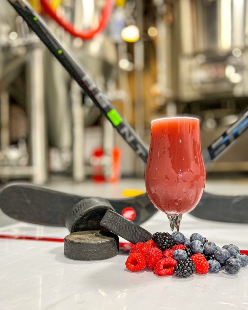 Hat Trick!! Triple Berry Sour - Nine Mile Brewing